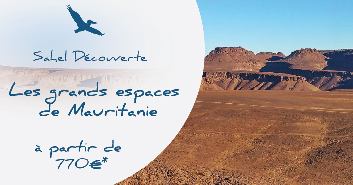 Voyage en Mauritanie - Sahel Découverte - Réservez en ligne