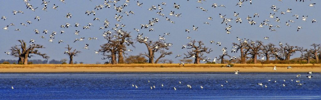 Circuit Classique - Sahel Découverte