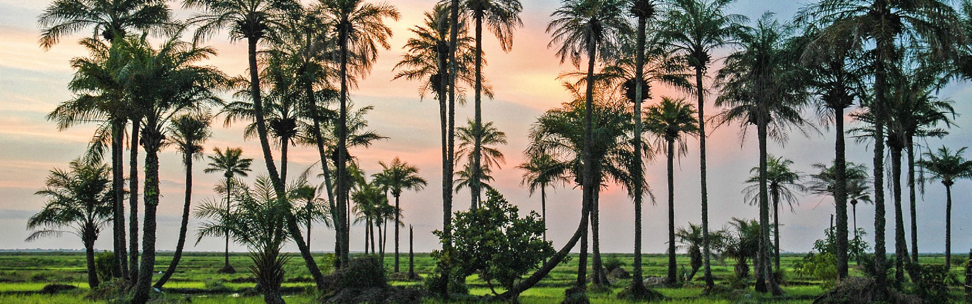 Nature et Culture Diola en Basse-Casamance - Sahel Découverte