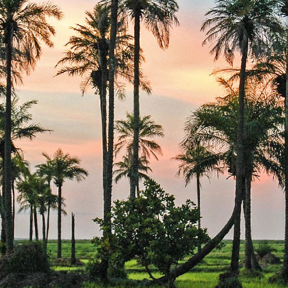 Voyages Découverte au Sénégal - Réserver en ligne